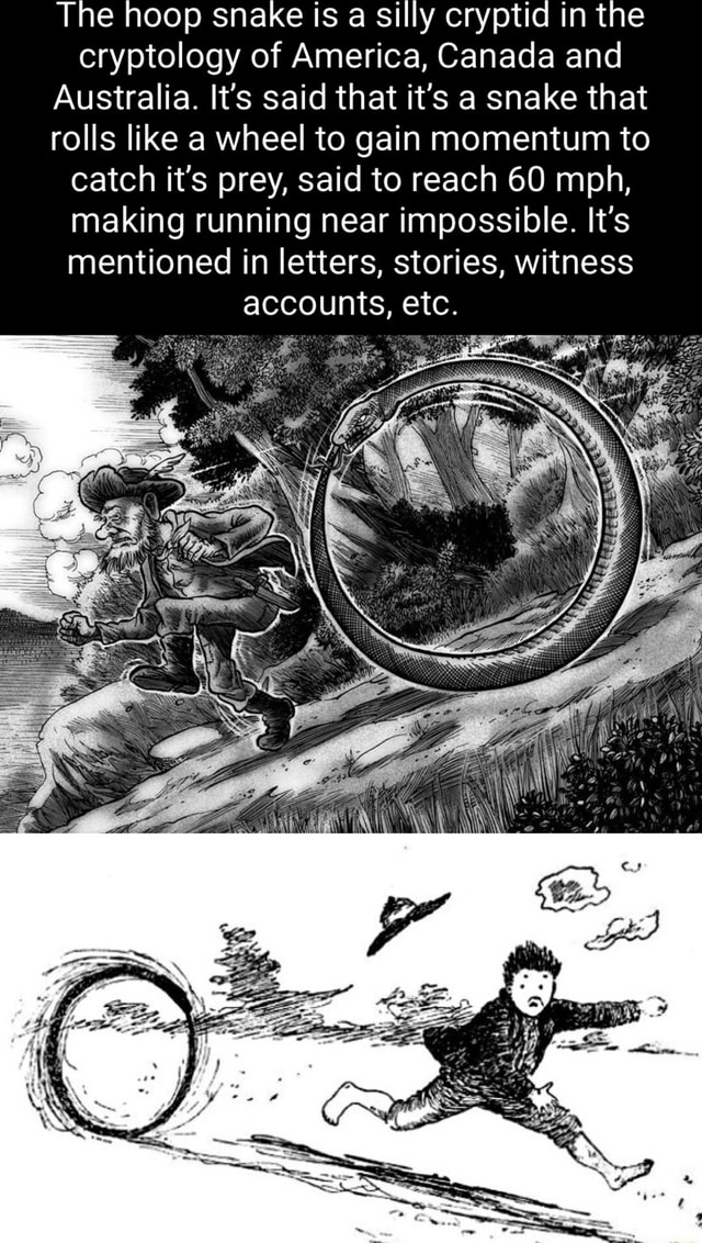 The hoop snake is a silly cryptid in the cryptology of America, Canada ...