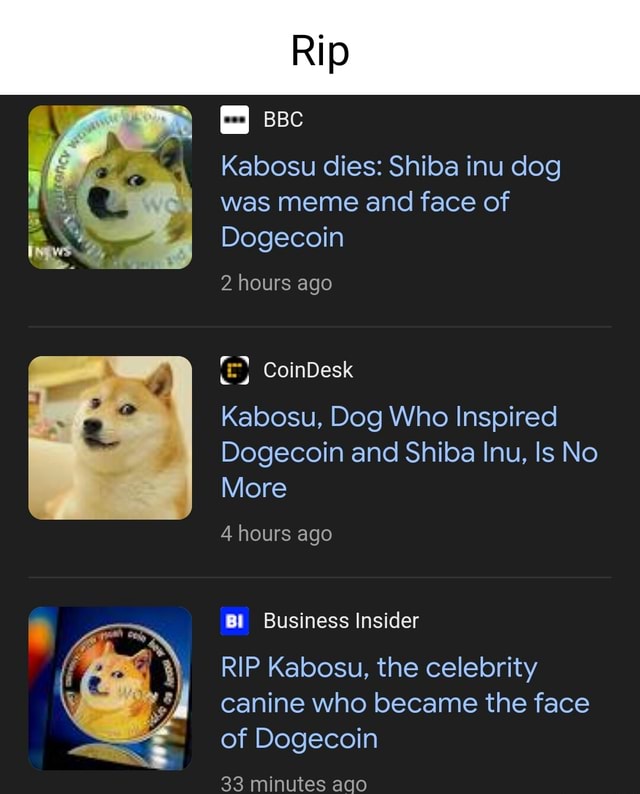 Rip BBC Kabosu dies: Shiba inu dog was meme and face of Dogecoin 2 ...