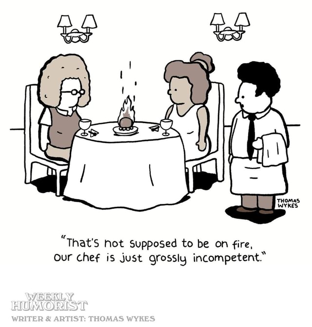 Flamb Fiasco Todays cartoon by ThomasWykes ...