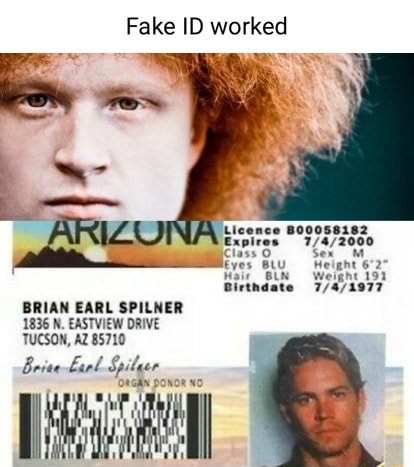 Fake ID worked Se BRIAN EARL SPILNER 1836 N. EASTVIEW DRIVE TUCSON, AZ ...