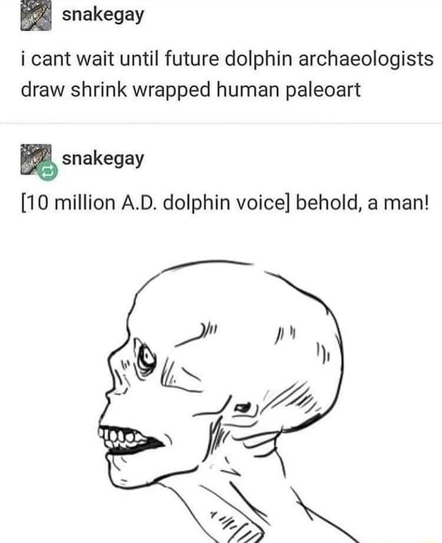 Snakegay i cant wait until future dolphin archaeologists draw shrink ...