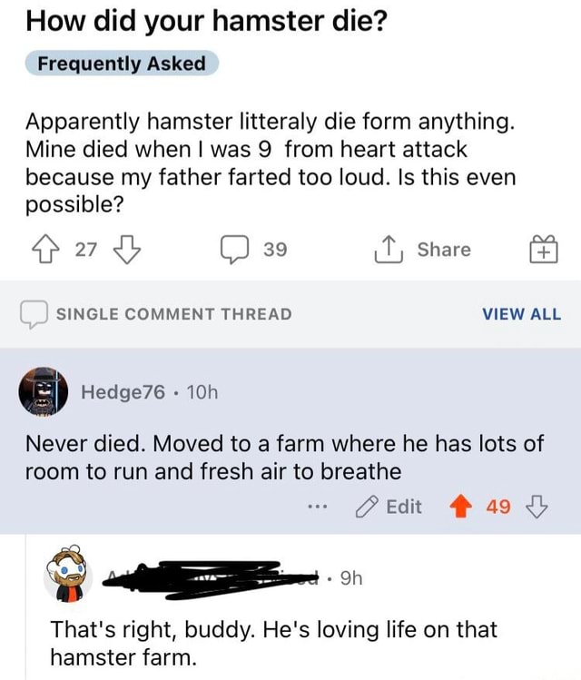 How did your hamster die? Frequently Asked Apparently hamster litteraly ...