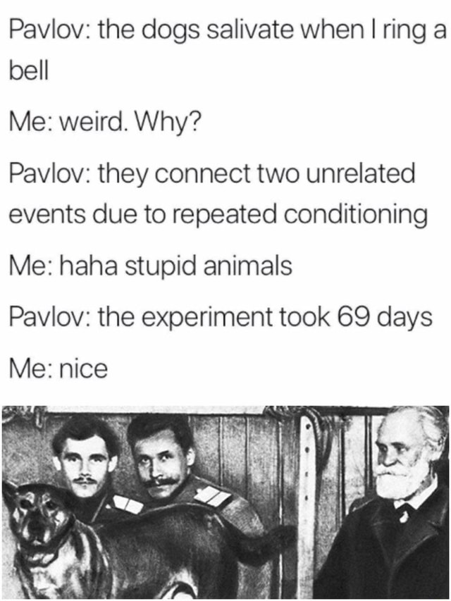 Pavlov: the dogs salivate when I ring a bell Me: weird. Why? Pavlov ...