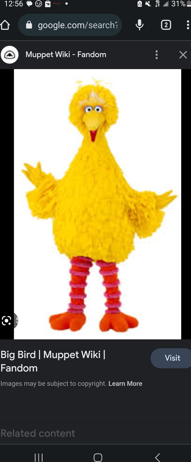 1256 all (3 Y 6) Muppet Wiki - Fandom Big Bird I Muppet Wiki I I Visit ...