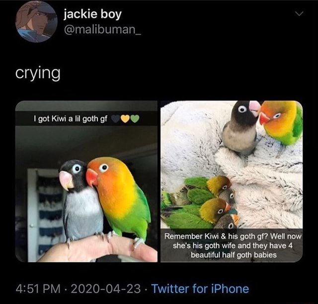 Jackie boy af @malibuman_ crying got Kiwi a lil goth gf @Q@ Remember ...