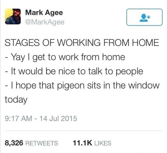 STAGES OF WORKING FROM HOME - Yay I get to work from home - It would be ...