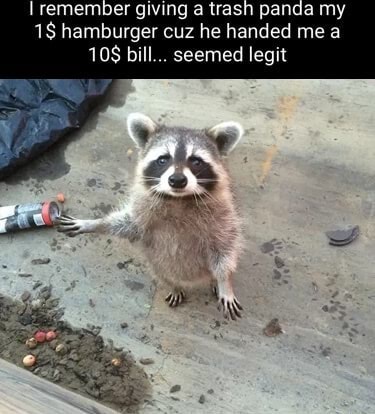 Remember giving a trash panda my hamburger cuz he handed me a OS bill ...