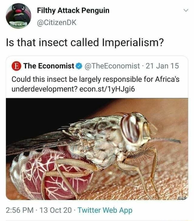 Filthy Attack Penguin Is that insect called Imperialism? @ The ...