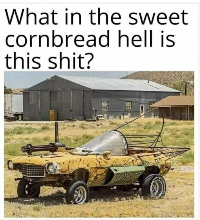 What in the sweet cornbread hell is this shit? - America’s best pics ...