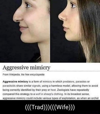 Aggressive mimicry - iFunny