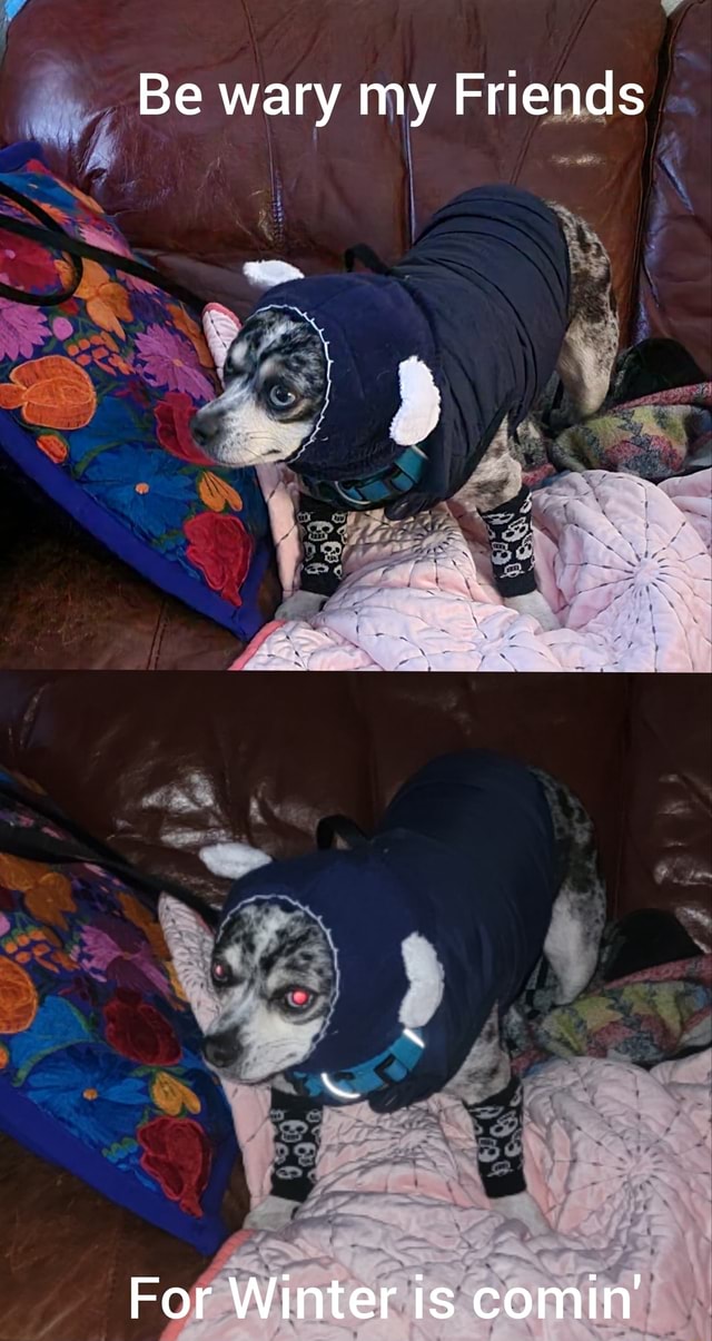 Be wary my Friends For Winter is comin' - iFunny