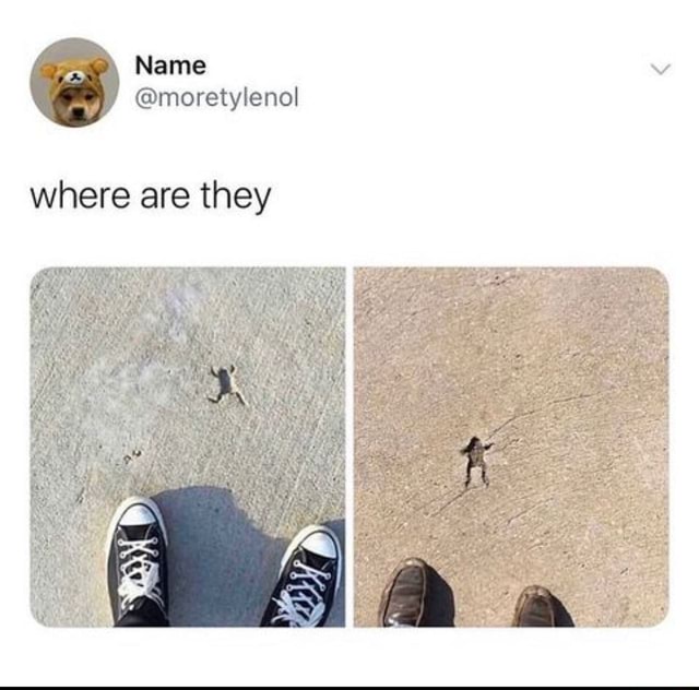 Where are they - iFunny