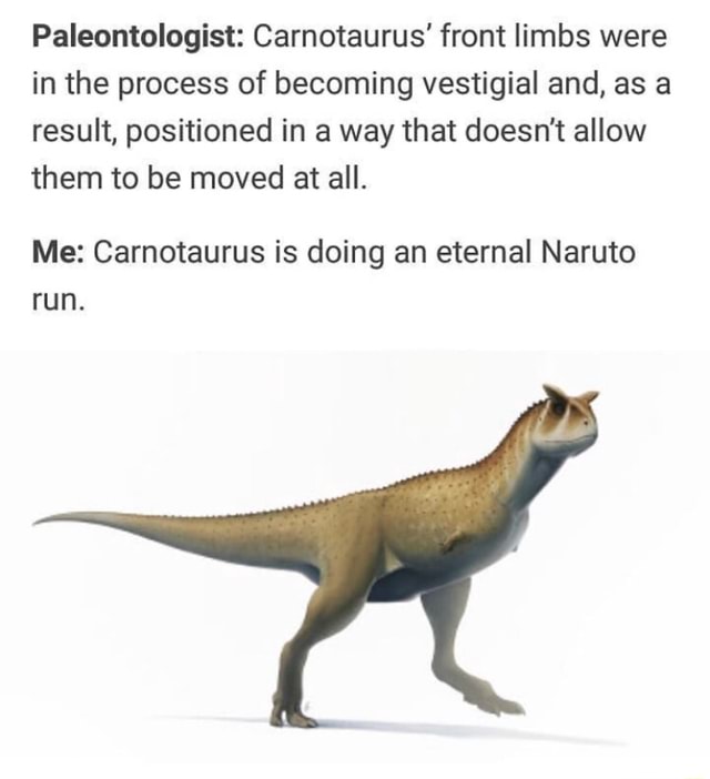 Paleontologist: Carnotaurus' front limbs were in the process of ...