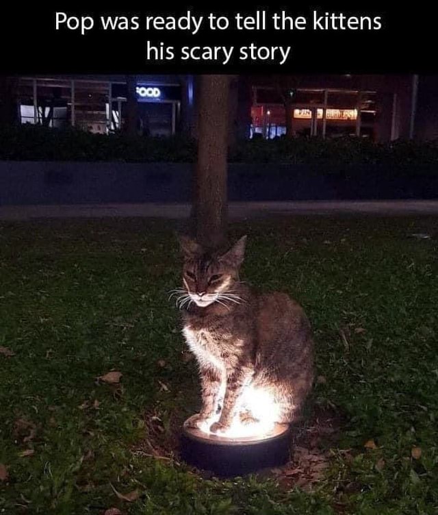 Pop was ready to tell the kittens his scary story I ears - America’s ...