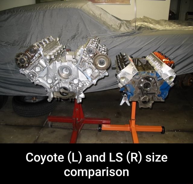 Ls Vs Coyote