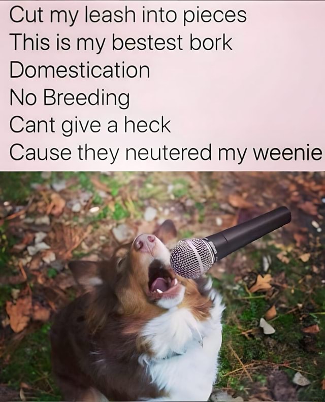Cut my leash into pieces This is my bestest bork Domestication No ...