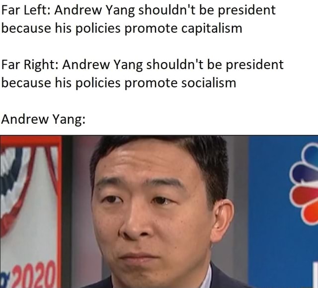 Far Left: Andrew Yang shouldn t e president because his policies ...