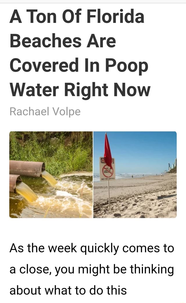 A Ton Of Florida Beaches Are Covered In Poop Water Right Now Rachael ...