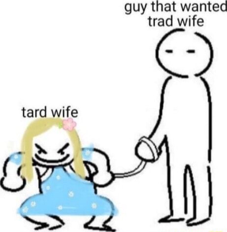 Guy that wanted trad wife tard wife Ss - iFunny