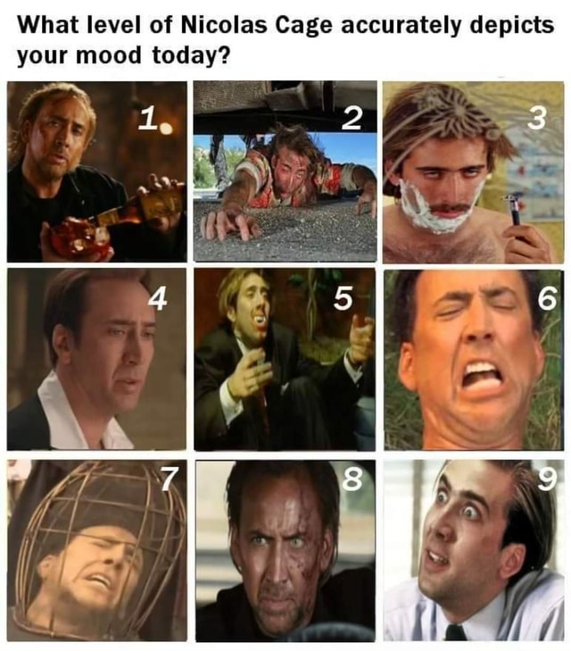 What level of Nicolas Cage accurately depicts your mood today ...