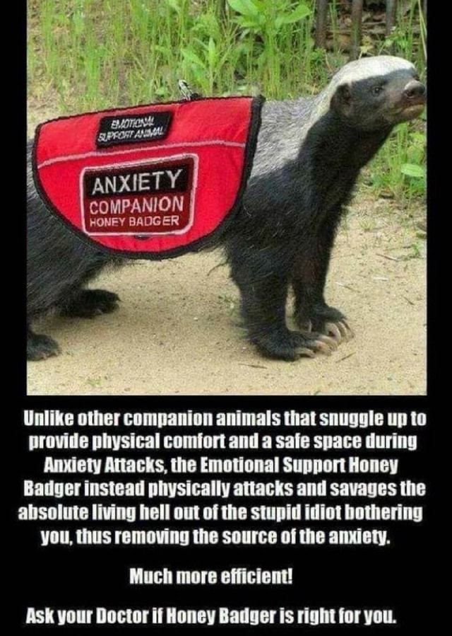 "ANXIETY COMPANION HONEY BADGER Unlike other companion animals that ...