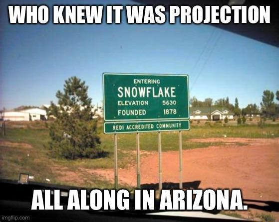 WHO KNEW IT WAS PROJECTION ENTERING SNOWFLAKE ELEVATION 5630 FOUNDED ...