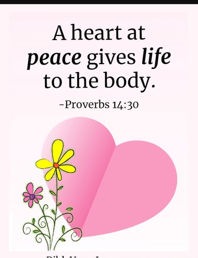 A heart at peace gives life to the body. -Proverbs - iFunny