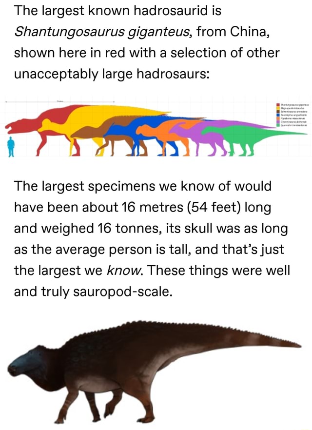The largest known hadrosaurid is Shantungosaurus giganteus, from China ...