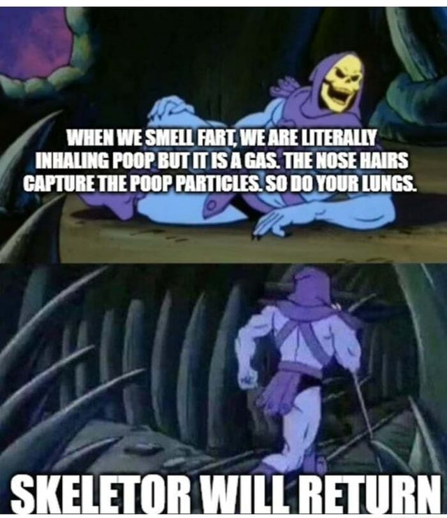 WHEN WE SMELL FART. WE ARE LITERALLY INHALING POOP BUT ITIS A GAS. THE ...