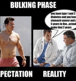 Expectations vs reality - BULKING PHASE ou have type and 2 stomach ...