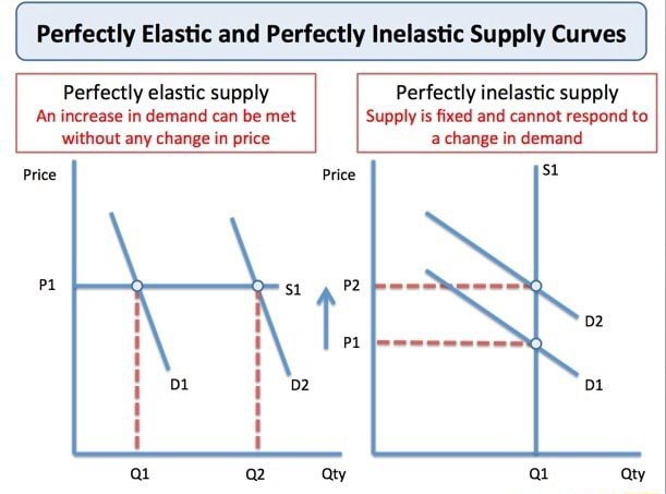 Perfectly Elastic and Perfectly Inelastic Supply Curves Perfectly ...