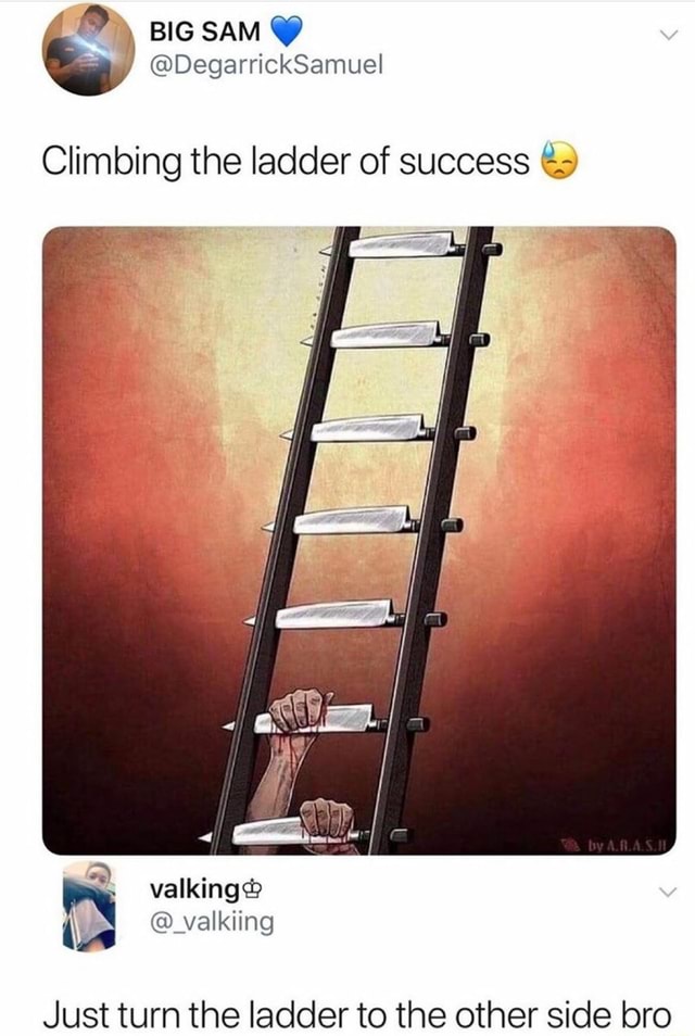 Climbing the ladder of success @5 Just turn the ladder to the other ...