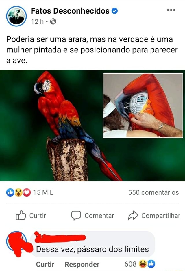 O) Fatos Desconhecidos Poderia ser uma arara, mas na verdade é uma ...