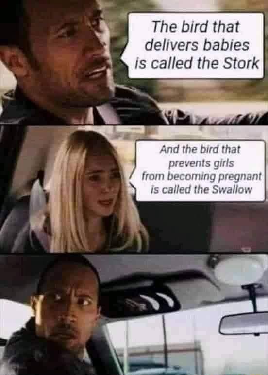 The Bird That Delivers Babies Is Called The Stork And The Gird Pravanls the-bird-that-delivers-babies-is-called-the-stork-and-the-gird-pravanls