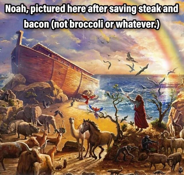 Noah, pictured here after saving steak and bacon (not broccoli or ...