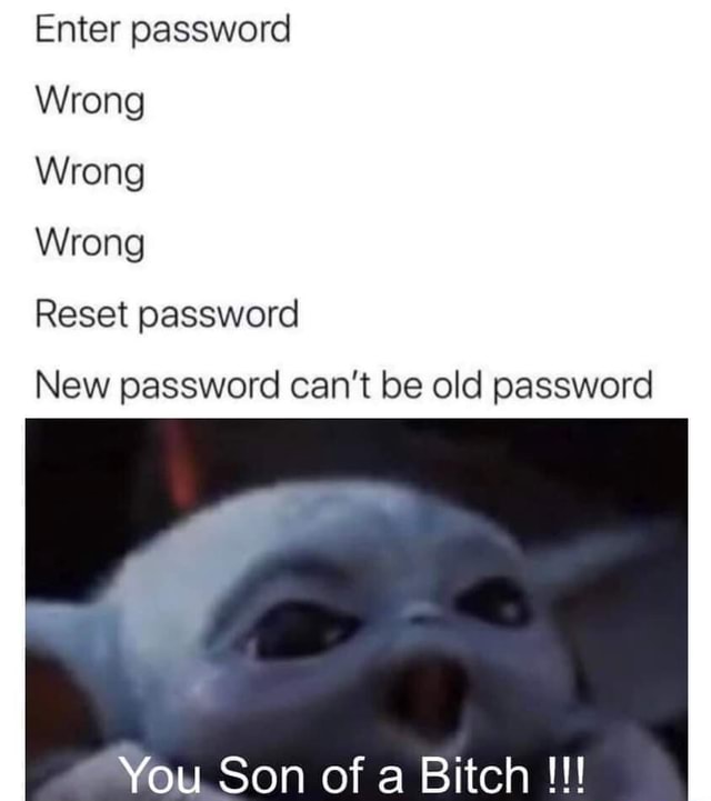 Enter Password Wrong Wrong Wrong Reset Password New Password Cant Be