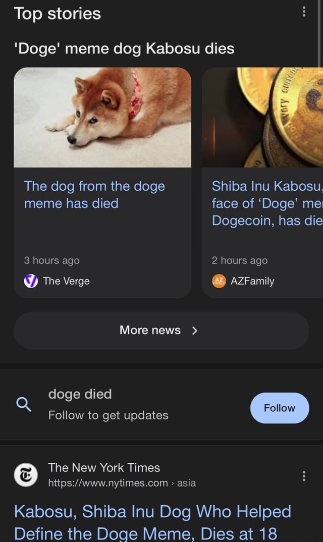 Top stories 'Doge' meme dog Kabosu dies The dog from the doge Shiba Inu ...