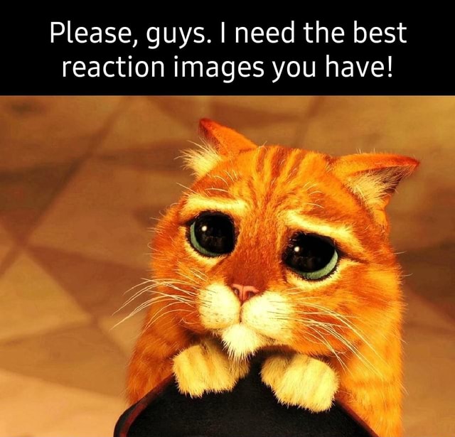 Please, guys. I need the best reaction images you have! - iFunny