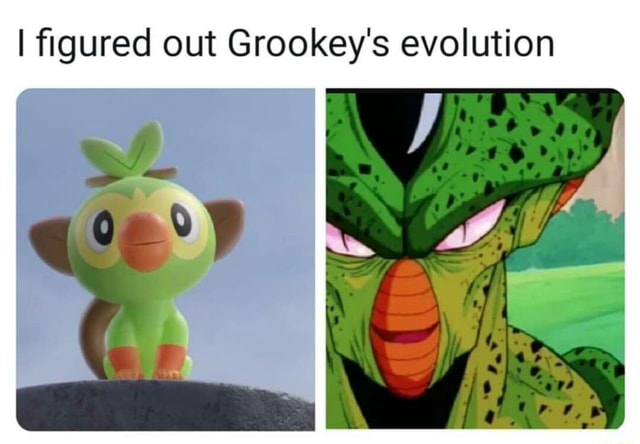 I ﬁgured out Grookey's evolution - iFunny
