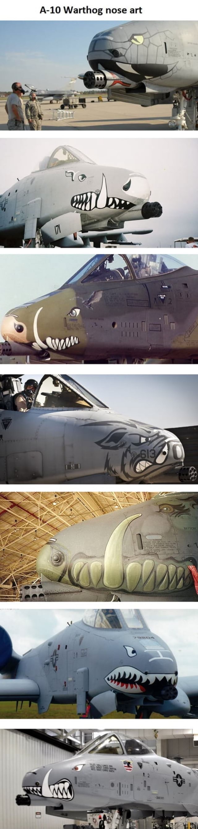 A-10 Warthog nose art - )