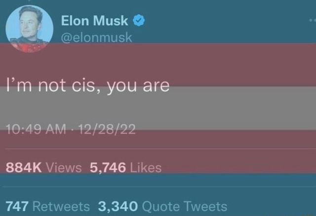 Elon Musk @ @elonmusk not cis, you are AM 884K Views 5,746 Likes 747 ...