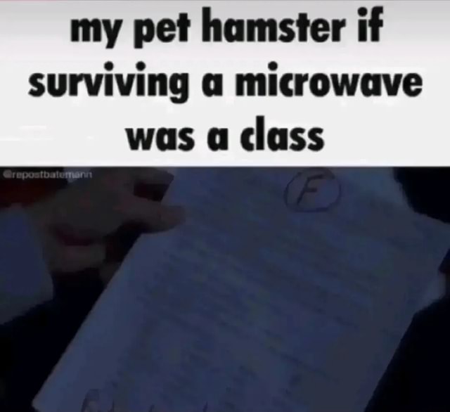 My pet hamster if surviving a microwave was a class - iFunny