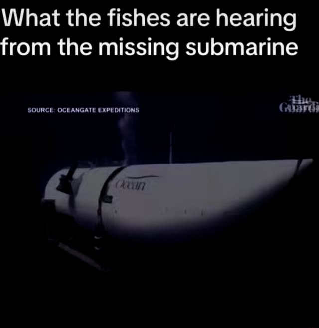 What the fishes are hearing from the missing submarine SOURCE ...