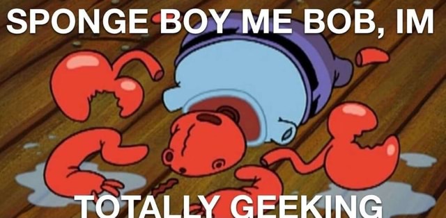 SPONGE BOY ME BOB, IM TOTALLY GEEKING - iFunny