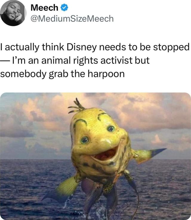 Meech @MediumSizeMeech I actually think Disney needs to be stopped I'm ...