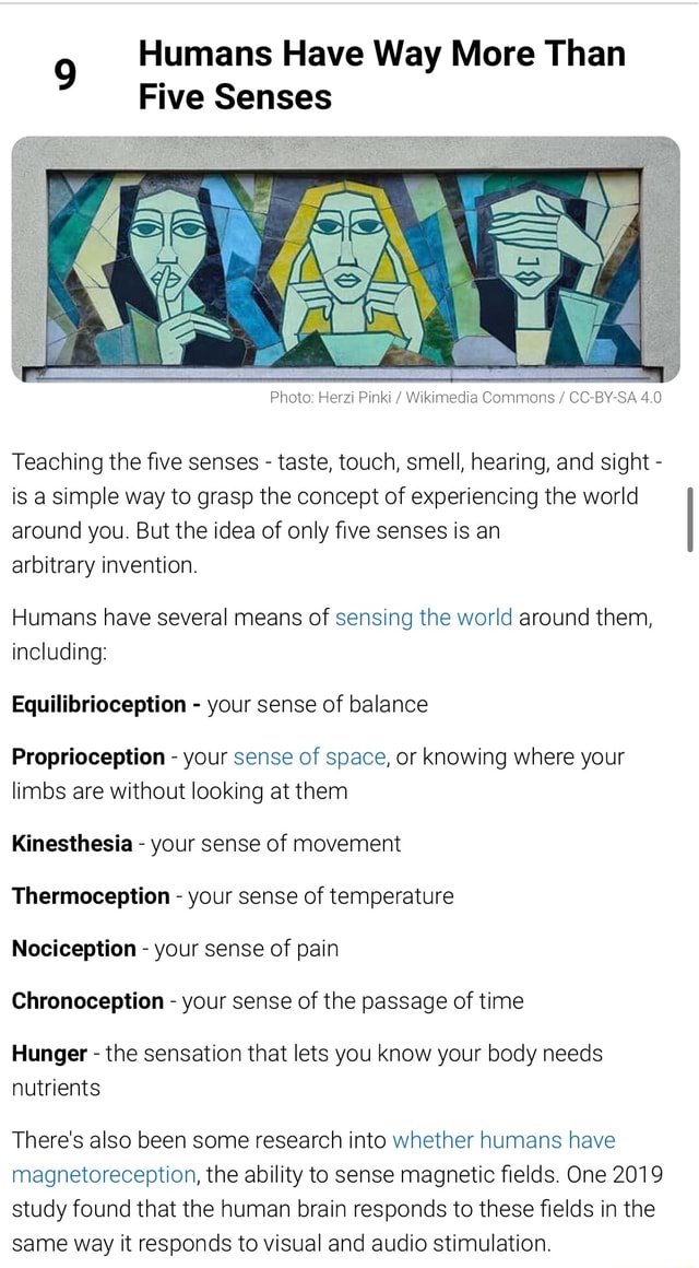 9 Humans Have Way More Than Five Senses il Photo: Herzi ire Wikimedia ...