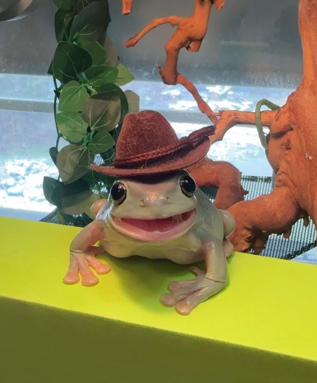 Picture memes ZekfwmPDA by friggin_frog: 4 comments - iFunny