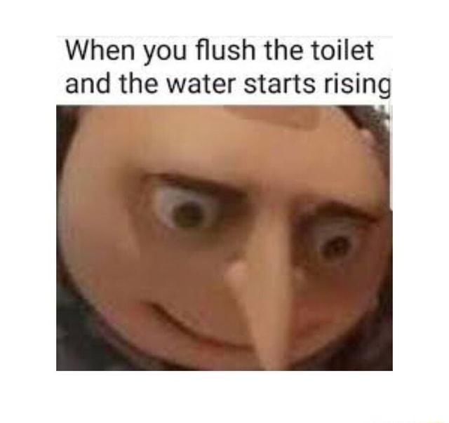 When you ﬂush the toilet and the water starts rising - iFunny Brazil