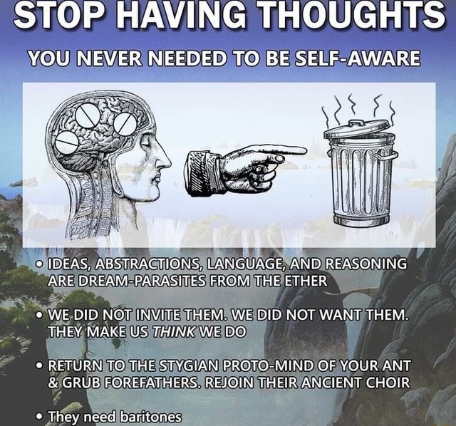 STOP HAVING THOUGHTS YOU NEVER NEEDED TO BE SELF-AWARE IDEAS ...