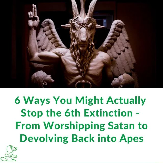 6 Ways You Might Actually Stop the Gth Extinction - From Worshipping ...